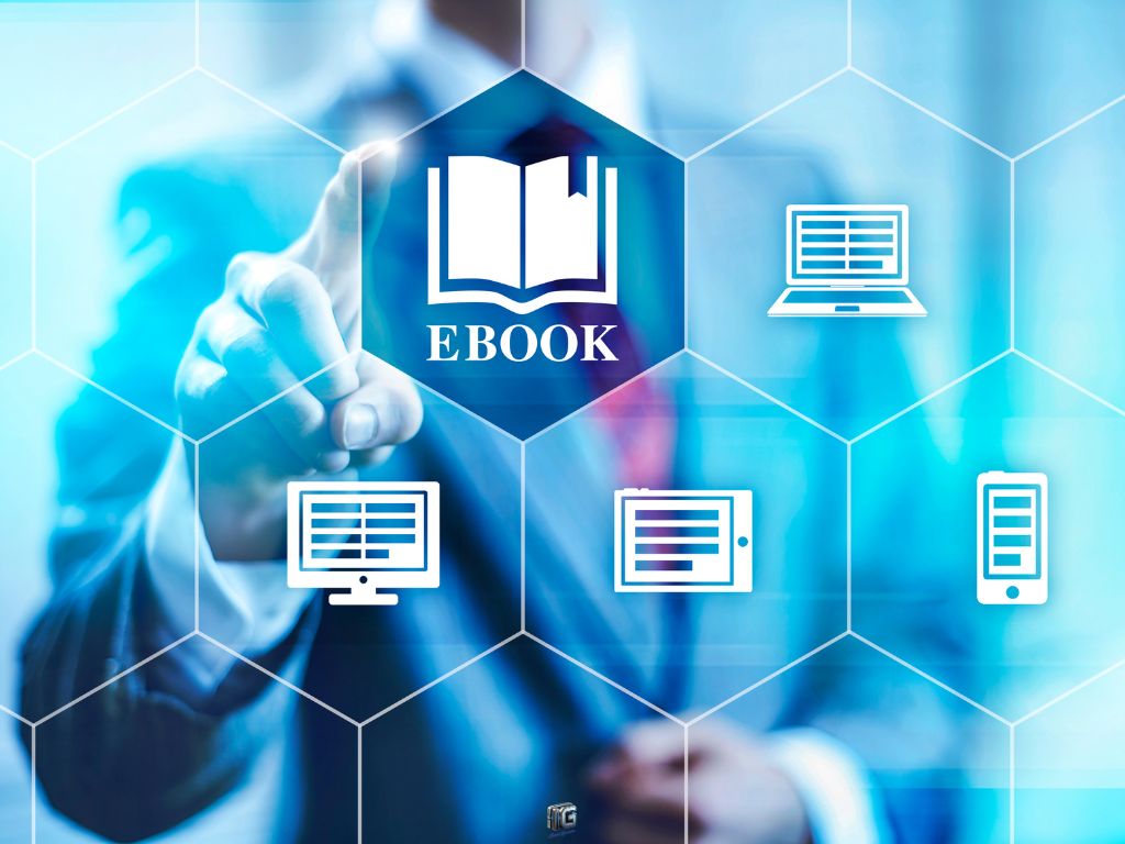 MRR vs PLR: What You Need to Know in 2025 - Ismel Guerrero.